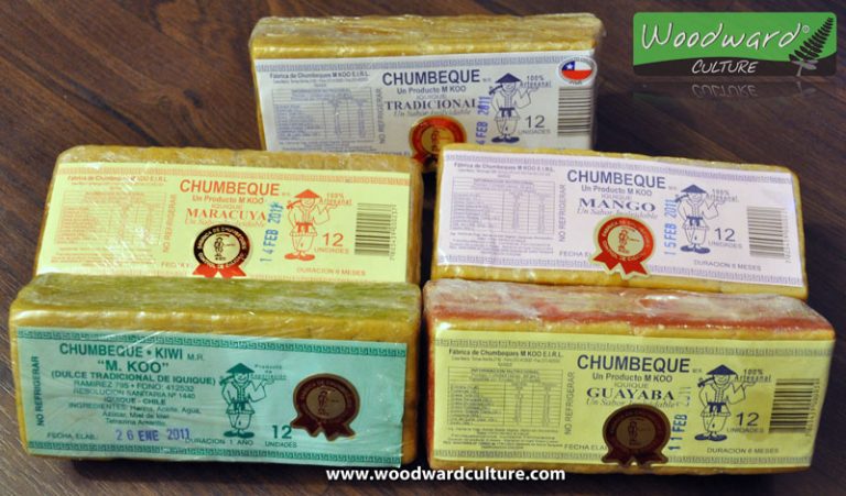 Chumbeques – Iquique, Chile | Chilean Food | Woodward Culture