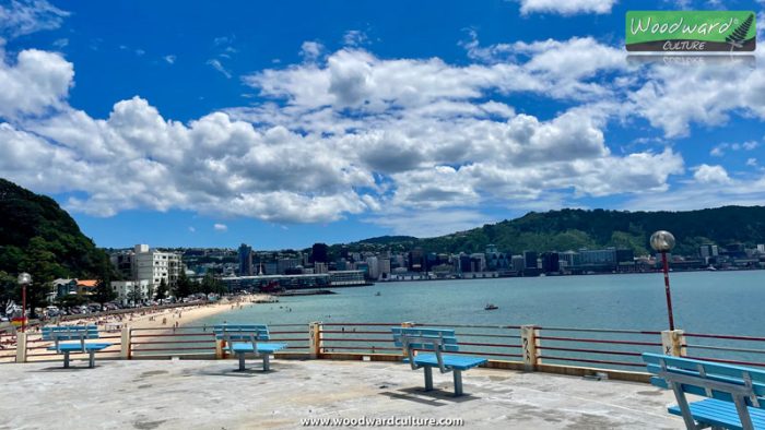 Wellington Waterfront and Oriental Bay Walk | Woodward Culture