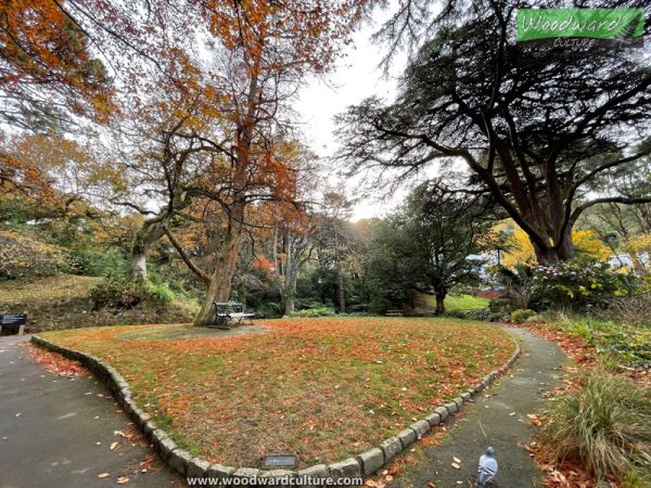 Wellington Cable Car & Wellington Botanic Gardens in Autumn | Woodward ...