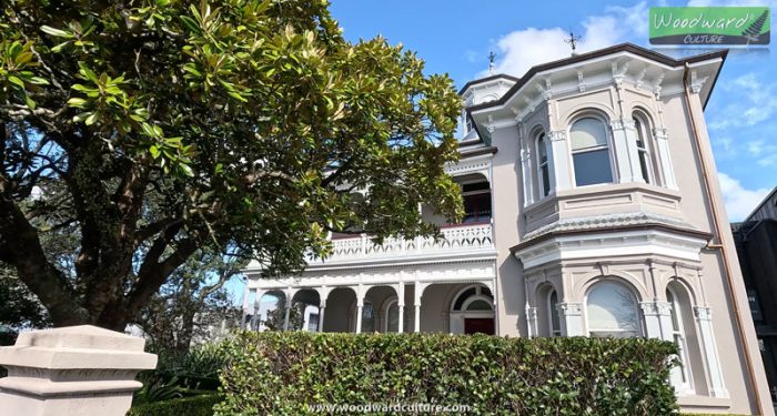 Ponsonby Auckland on a Sunday Afternoon in Winter | Woodward Culture