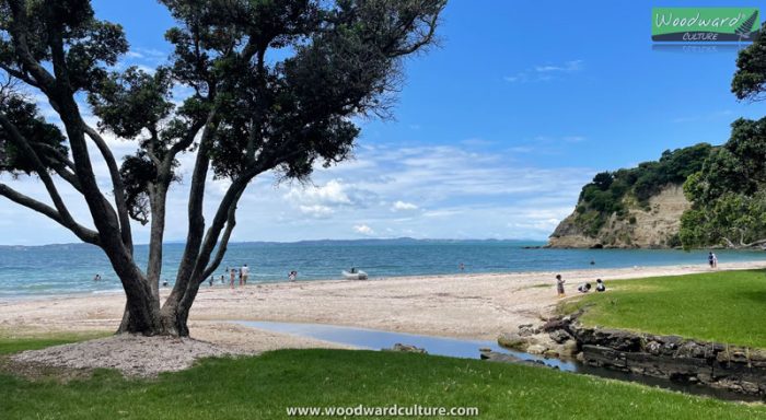 Eastern Beach | Auckland, New Zealand | Woodward Culture