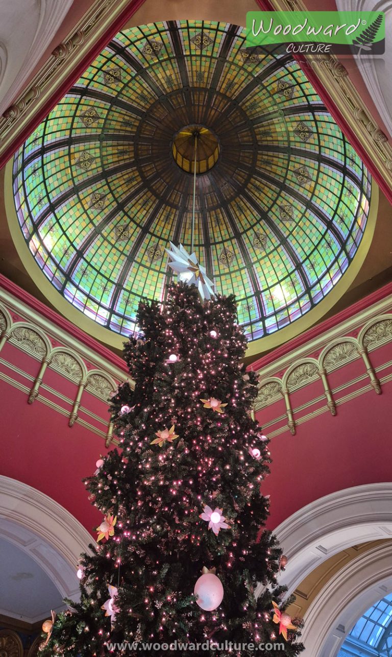 Queen Victoria Building – Sydney Australia | Woodward Culture