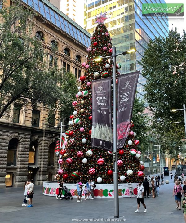 Martin Place Christmas Tree | Sydney | Woodward Culture