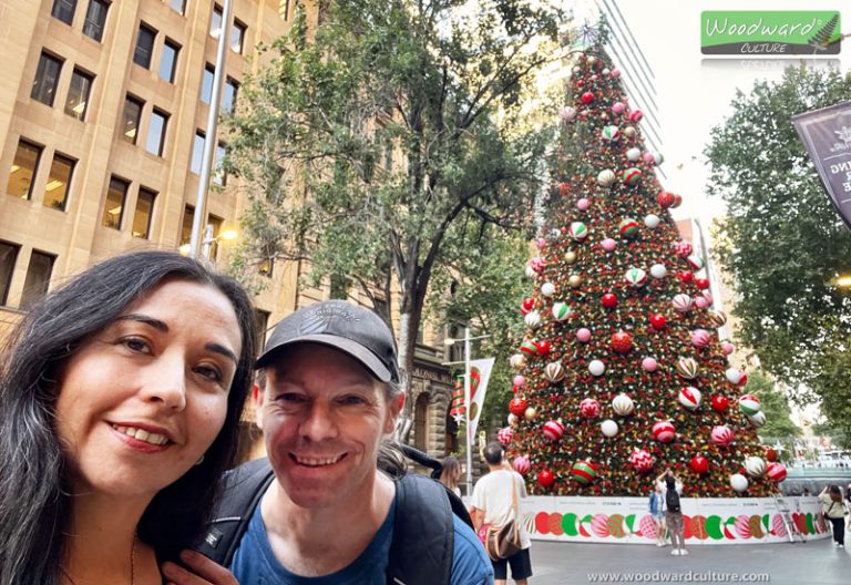Martin Place Christmas Tree | Sydney | Woodward Culture
