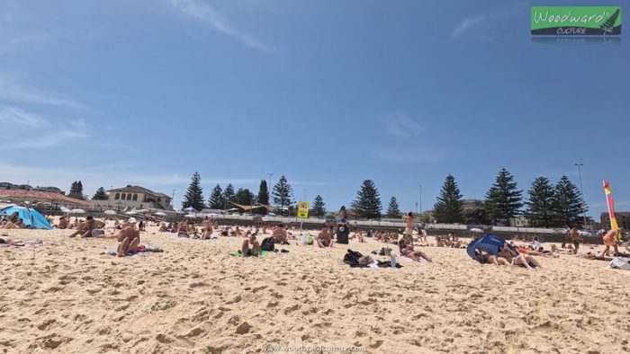 Bondi Beach – Sydney | Woodward Culture